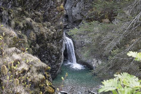 宾兹高的苏兹巴歇