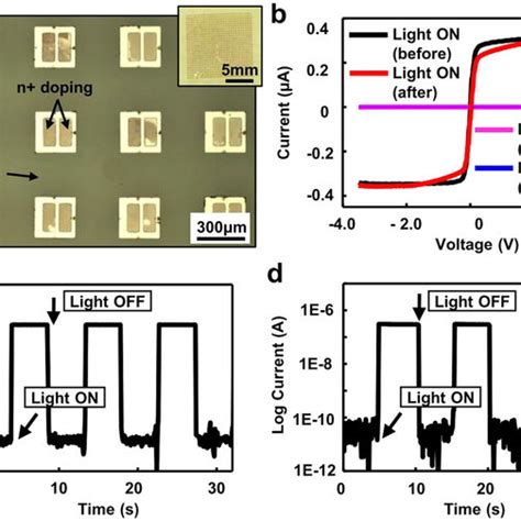 Ttp Of Si Photodetectors A Optical Image Of Si Based Photodetector