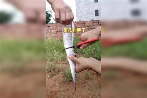 搞笑段子美食 自制美食