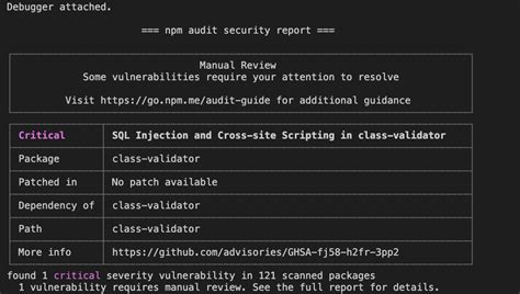 Question Is Everything Alright With Class Validator Vulnerabilities Checks Issue