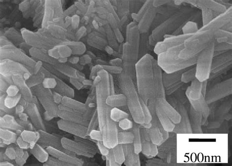 SEM Photographs Of As Prepared HAP Particle R HAP Download Scientific Diagram