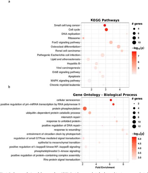Figure 6 From Evaluating Synergistic Effects Of Metformin And