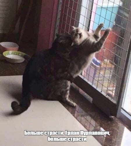 Создать мем секс котов коты для кота Картинки Meme