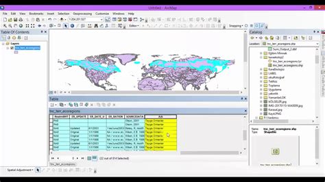 Arcgis Field Calculator Ile Seçili Alanların Özniteliğini Değiştirmek Youtube