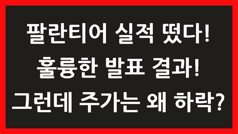 팔란티어 테크놀로지스 주식 주가 전망 Ai 관련주 투자 분석 실적 발표 어닝 상승 하락 이유 가격 차트 시세 예상 그래프 예측