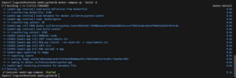 python project containerize technology
