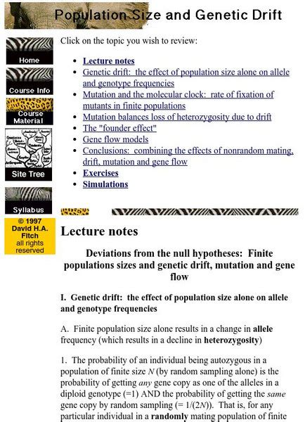 Population Size And Genetic Drift Lecture Notes Handout For 9th 10th Grade Lesson Planet