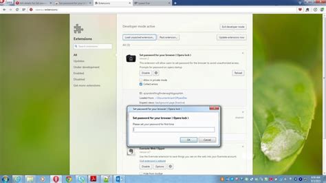 Set Password For Your Browser Opera Lock Extension Opera Add Ons