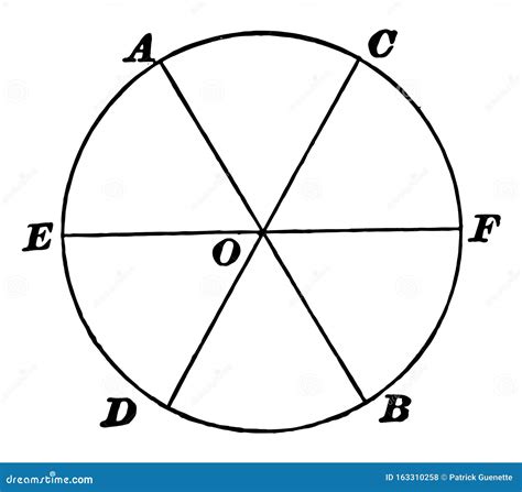 Sectors Of Circle Vintage Illustration Stock Vector Illustration Of Sectors Drawing 163310258