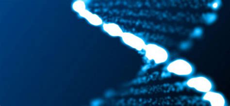 Synthetic Dna Created New Technological Discoveries And The Future Of