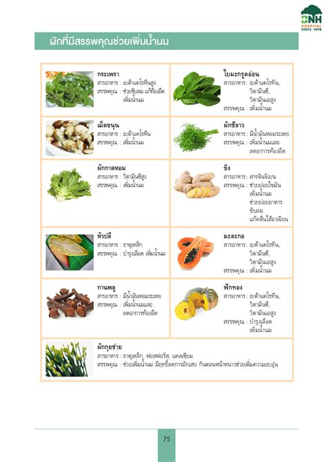 อาหารของแม่ในระยะให้นมบุตร The M Brace