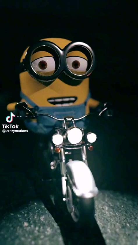 😎😎😎 Minions Funny Funny Cartoon Images Funny Animated Cartoon