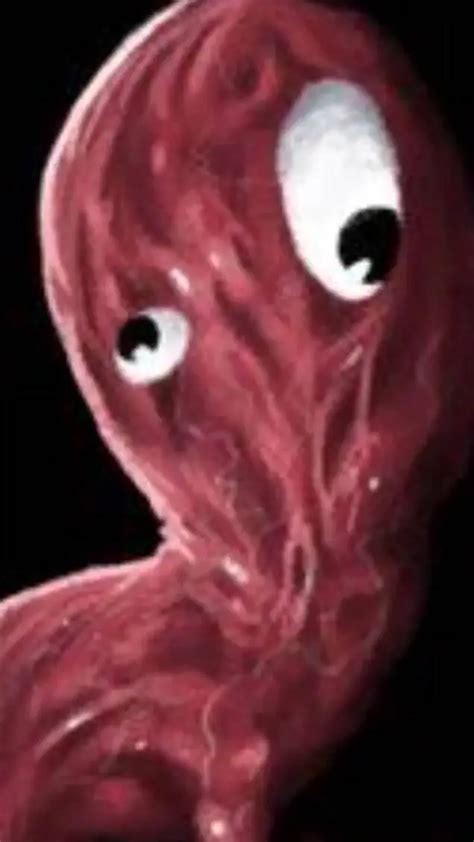 Chat With Lil Nugget Text Or Voice Enjoy Ai Chat Free And Safe