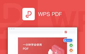 WPS PDF