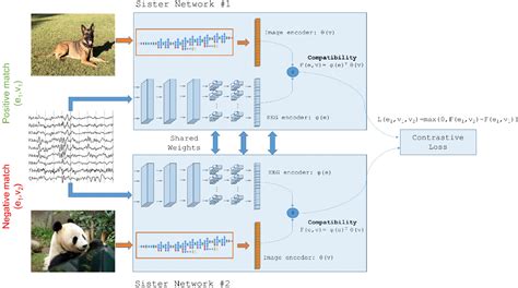 Figure 1 From Decoding Brain Representations By Multimodal Learning Of Neural Activity And