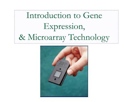 PPT Introduction To Gene Expression Microarray Technology PowerPoint Presentation ID 5941361