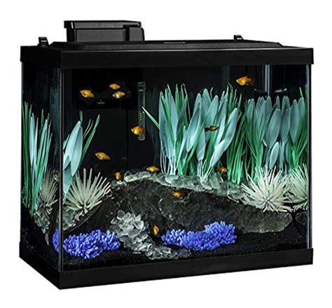 Gallon Fish Tank Sets