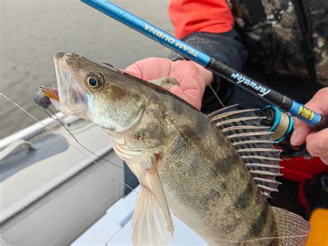 C643 D7 E9 Bb65 4 A07 A0 D9 20124366 C0 F6 — Postimages