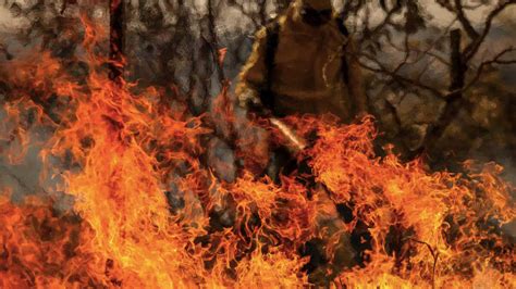 Defesa Civil Destaca 5 áreas Com Maior Risco De Queimadas No Interior De Sp Gazeta De São Paulo