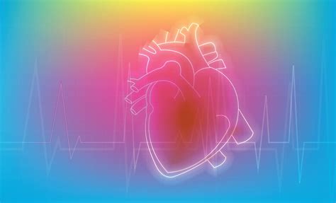 Heart Rate Measurement 11554544 Vector Art At Vecteezy