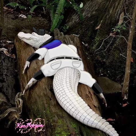 The Judge Off On Tumblr