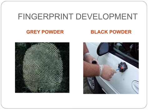 Latent Fingerprint Development Ppt
