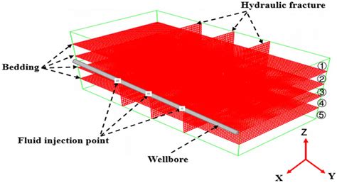 Model Diagram ①⑤ Represent The Layer Number Download Scientific