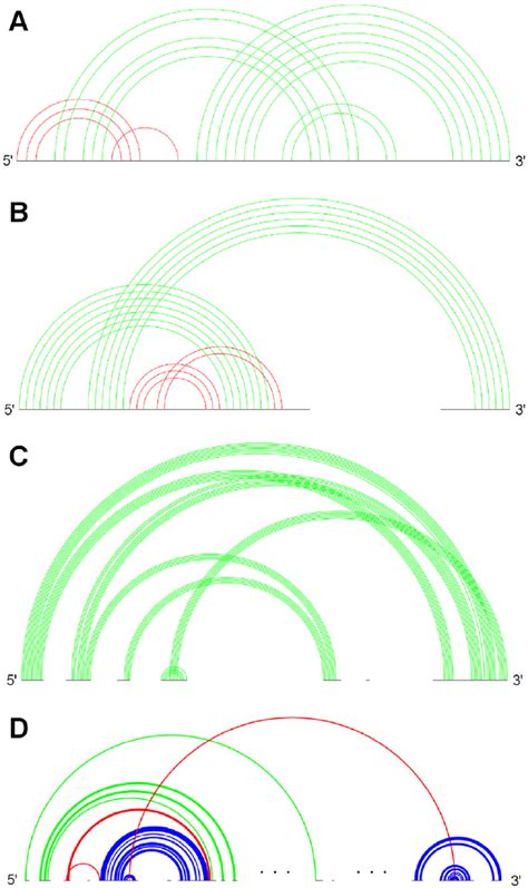 Typical Sample Structures For All Genus 2 Subclasses A Rna Sequence