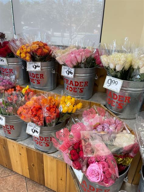Trader Joes Flower In 2022 Trader Joes Trader Joes Joes