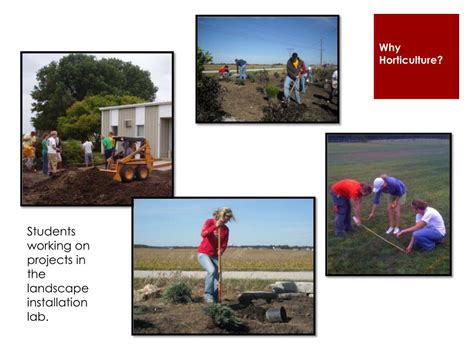 PPT Horticulture PowerPoint Presentation Free Download ID 2113078