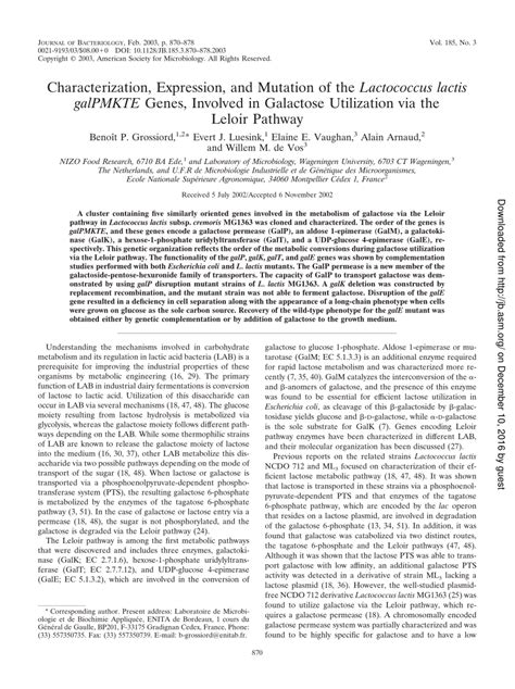 Pdf Characterization Expression And Mutation Of The Lactococcus Lactis Galpmkte Genes