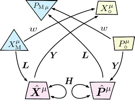 Schematic Structure Of The Higher Gauge Symmetries The Different
