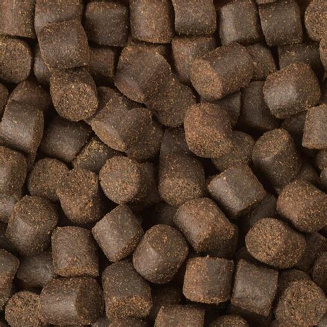Pêche De La Carpe Pellets Poisson Extrudés 15mm 5kg Caperlan Decathlon
