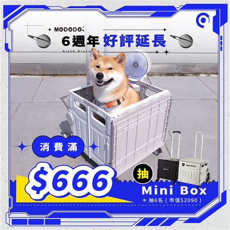 摸肚肚mododo 🎉 摸肚肚六週年活動！好評延長，活動不停歇！ 🎉