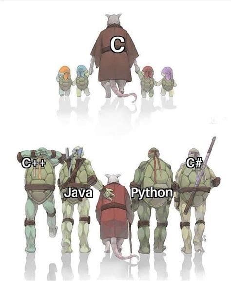 C With Other Programming Languages Programing Jokes Programmer Jokes Computer Jokes