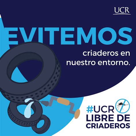 Ucr Vra Ante Aumento De Casos De Dengue En El País La Ciad Llama A