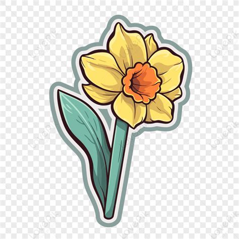 흰색 배경 일러스트 클립 아트에 수선화 스티커 벡터상표 Png 일러스트 무료 다운로드 Lovepik