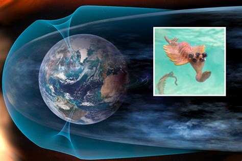 Earths Magnetic Field Near Collapse Boosted Evolution Scientists Think Newsweek