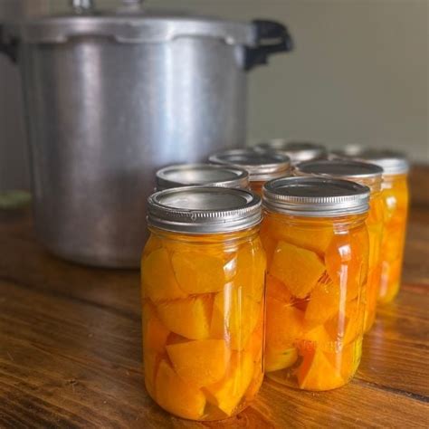 Homemade Pumpkin Puree Recipe Mama On The Homestead