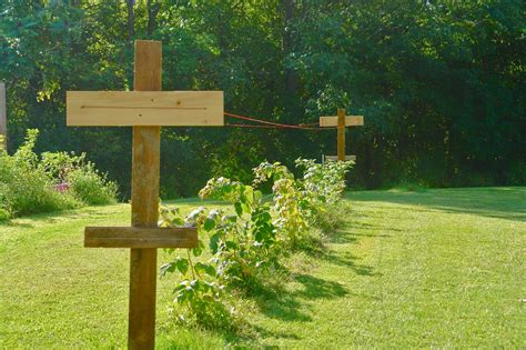 Redwoodshire Learning To Grow Growing To Learn Raspberry Trellis Redwoodshire Learning To Grow Growing To Learn Raspberry Trellis