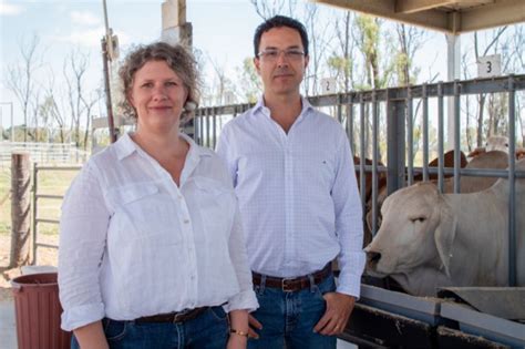 Selecting Cattle For Nitrogen Use Efficiency
