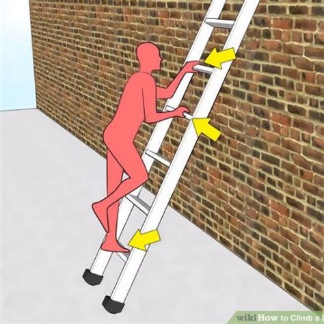 Emily Herbert Medium