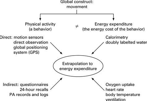 How Do Accelerometers Measure Physical Activity At Brenda Ferri Blog