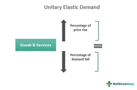 Unitary Elastic Demand Curve