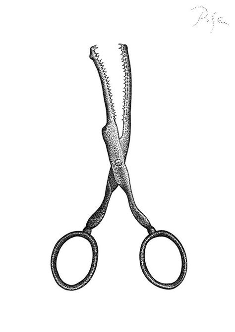 Scissors Drawing By Igor Pose Saatchi Art Beauty Drawings Fine Art Drawing Sale Artwork