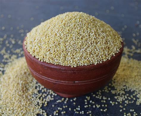 White Proso Millet Seed Ecs Forage Grain Seed Colorado Texas And New Mexico