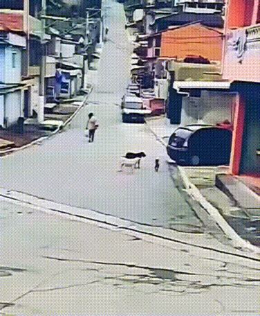 Rồi sao làm gì nhau làm gì nhau đi mấy anh Viết bởi mig29f