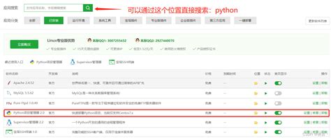 记录在宝塔面板运行python过程 宝塔运行python项目 csdn博客