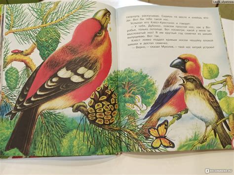 Сказки про животных. Виталий Бианки - «Книга, в которой животные похожи ...