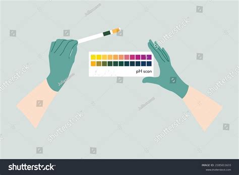 Reagent Test Strips Scientists Hand Glove Stock Vector Royalty Free 2185011633 Shutterstock